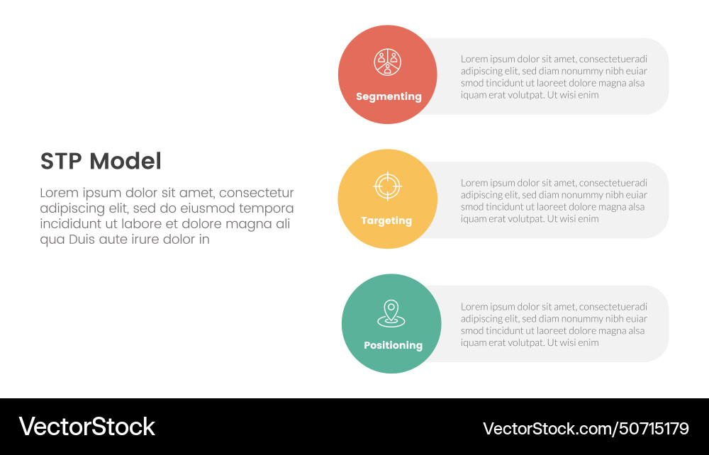 Stp marketing strategy model for segmentation Vector Image