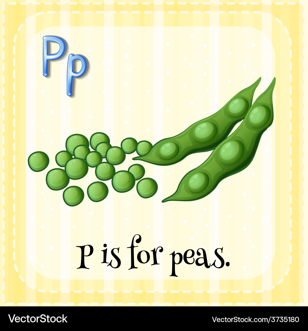 A letter p for peas Royalty Free Vector Image - VectorStock