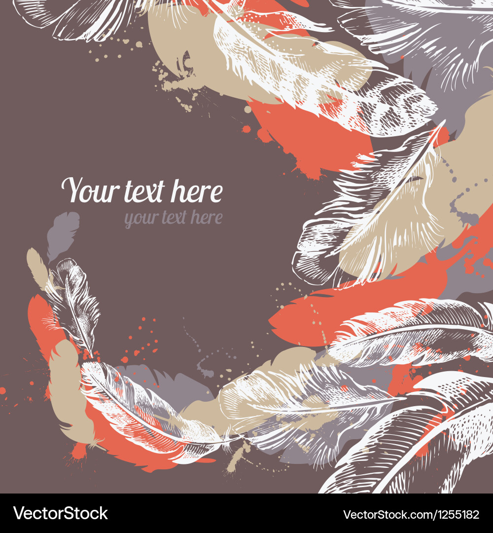 Feather background Royalty Free Vector Image - VectorStock