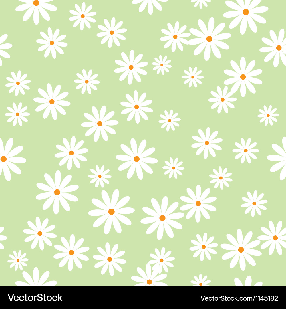 Floral Daisies Pattern Royalty Free Vector Image