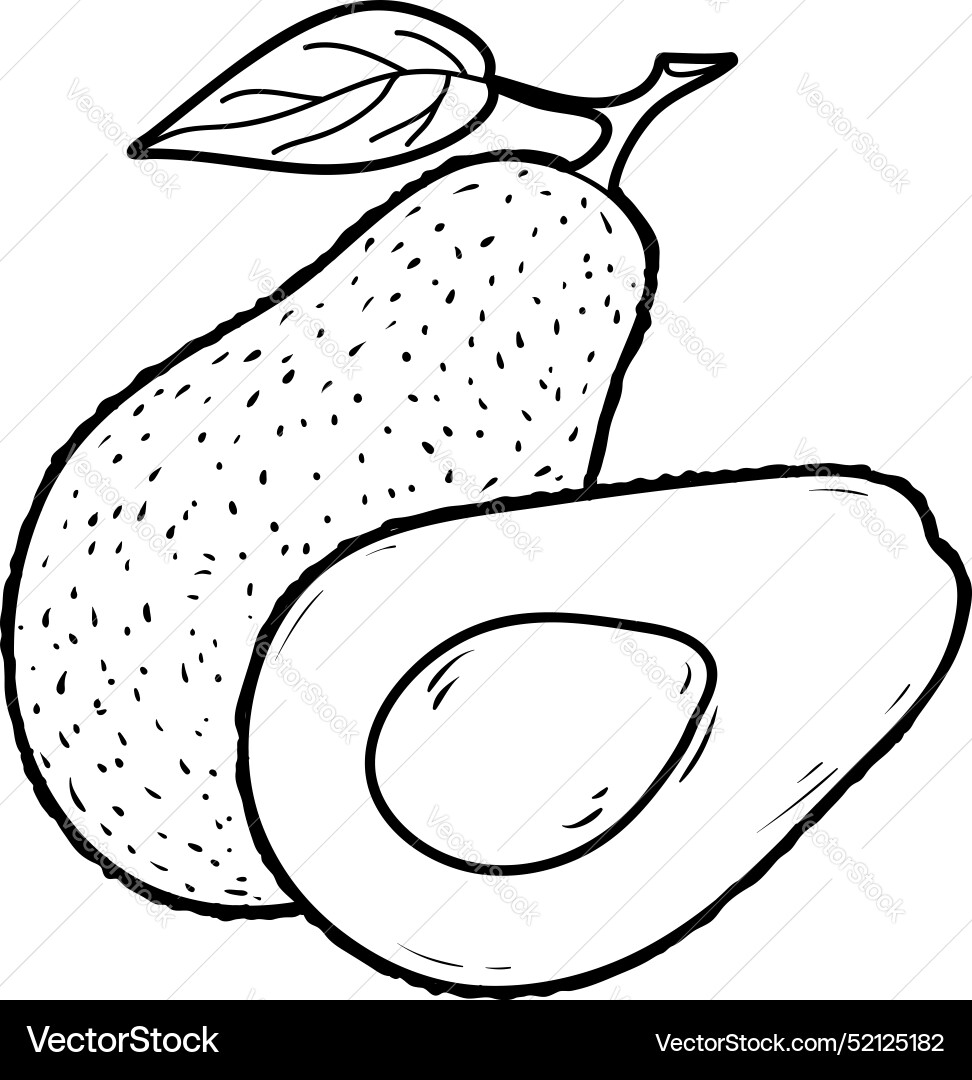 Outline of avocado Royalty Free Vector Image - VectorStock