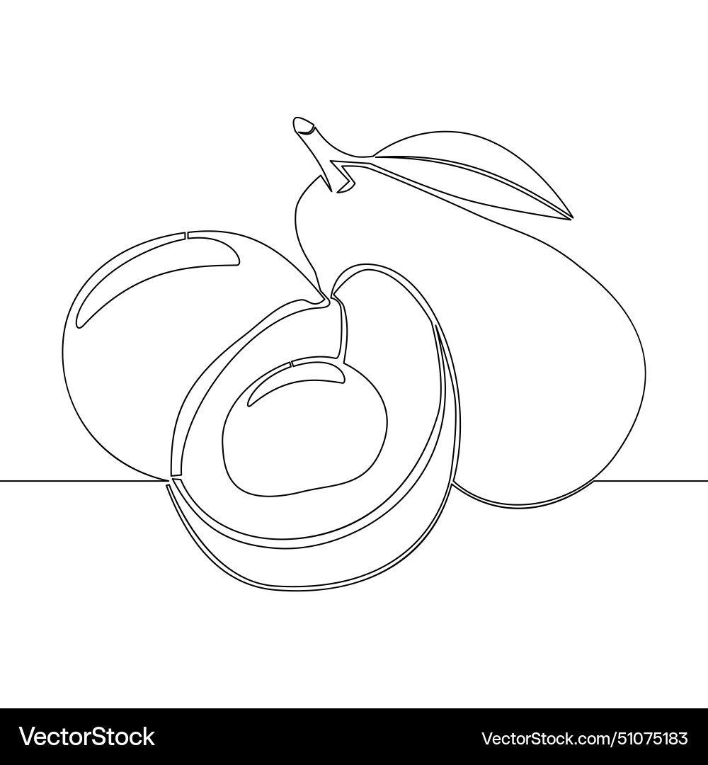 Continuous line drawing of avocado concept Vector Image