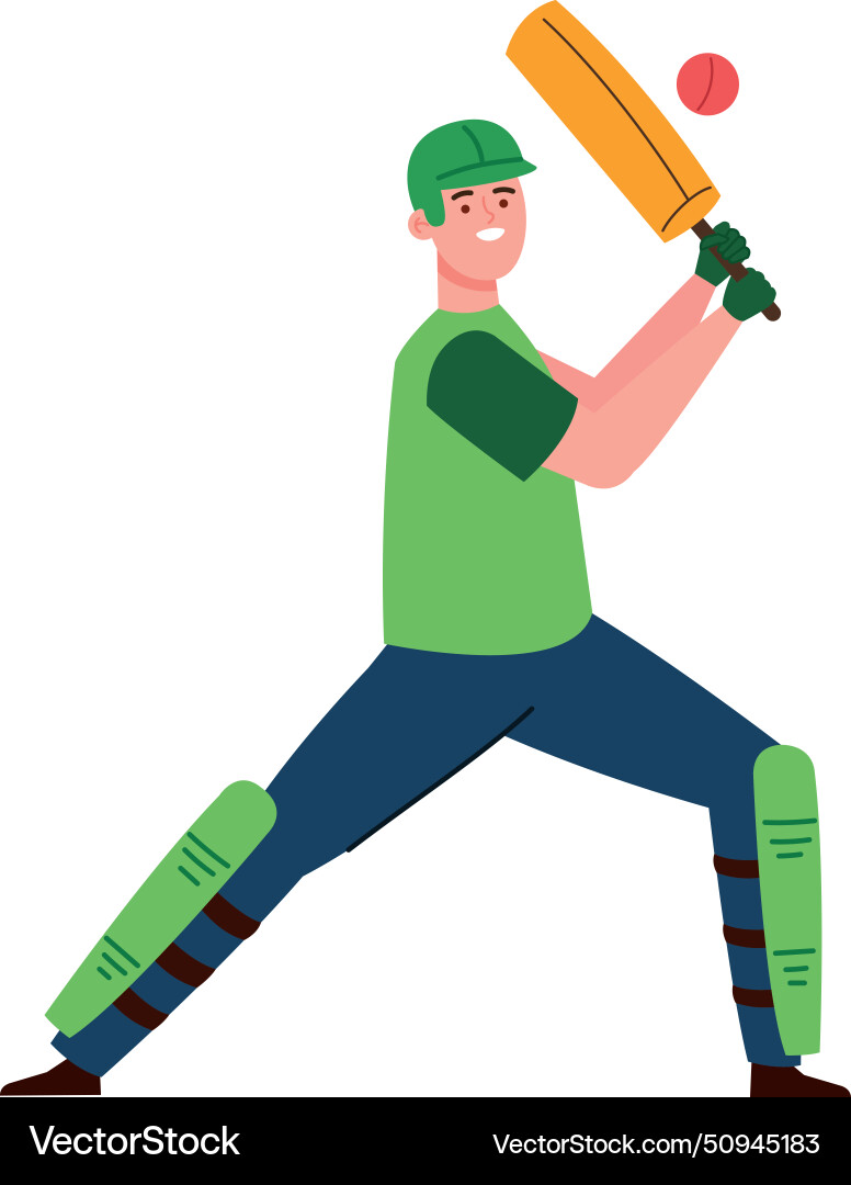 Cricket professional player Royalty Free Vector Image