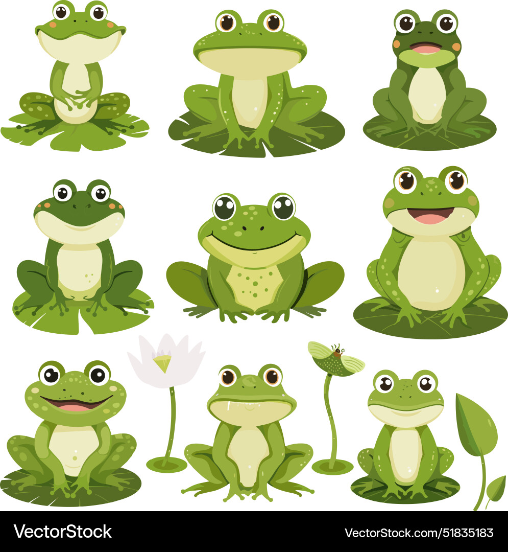 Green toads cartoon set frogs lotus leaves Vector Image