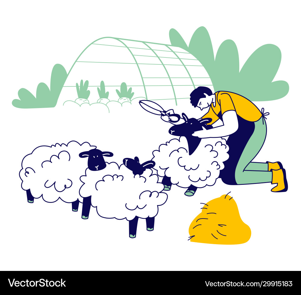 Shaving Sheep Wool Vector Images (39)