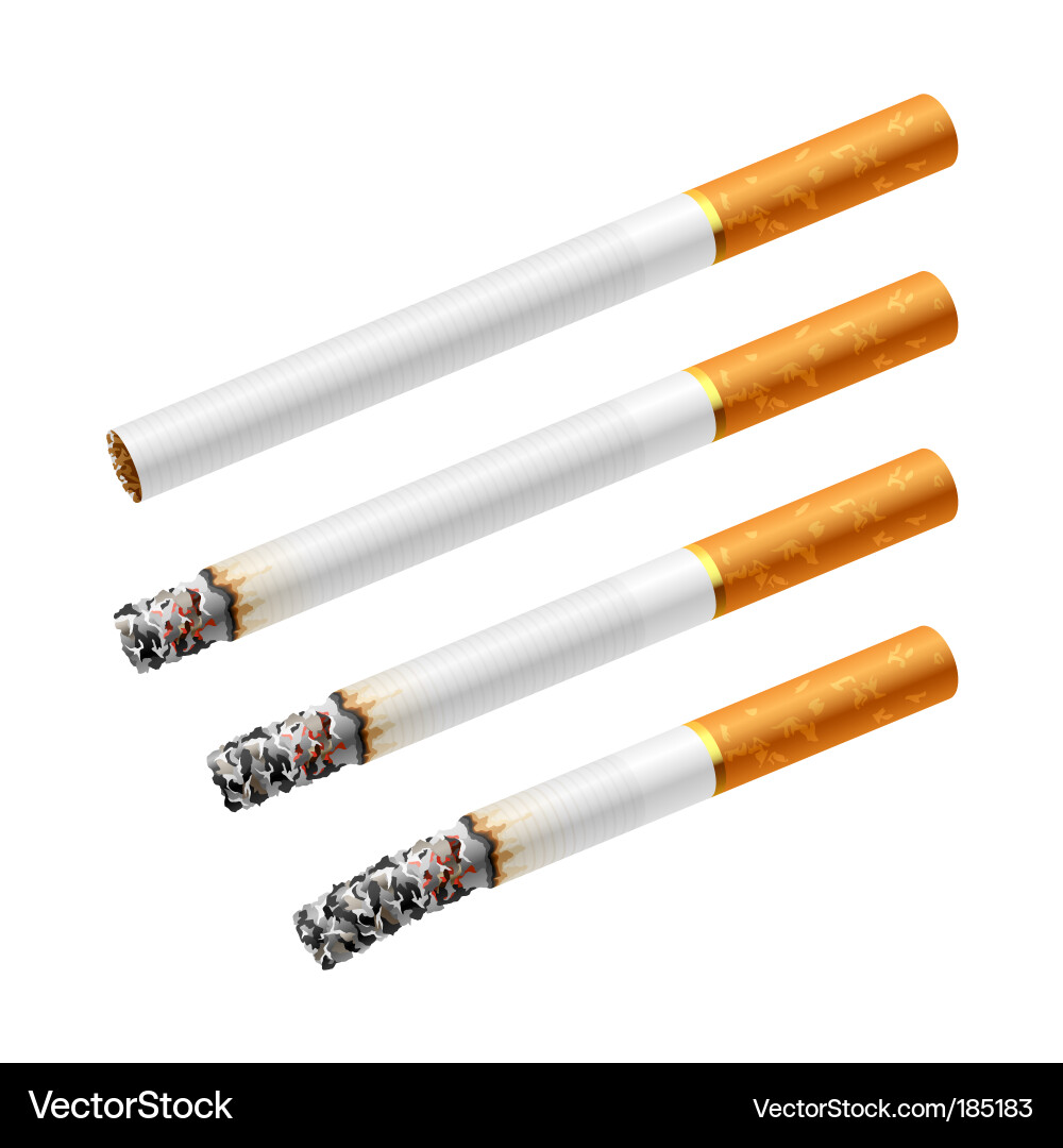 Smoking a cigarette Royalty Free Vector Image - VectorStock