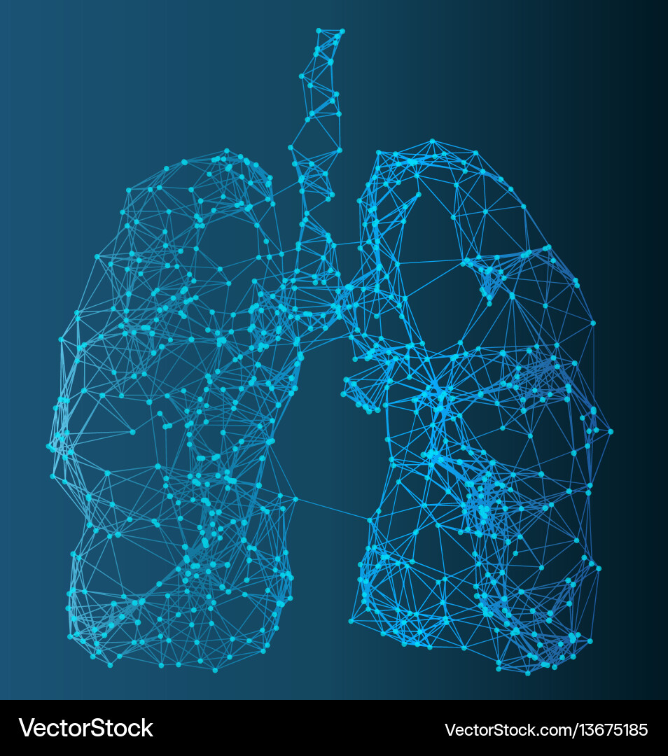 Light paths Royalty Free Vector Image - VectorStock