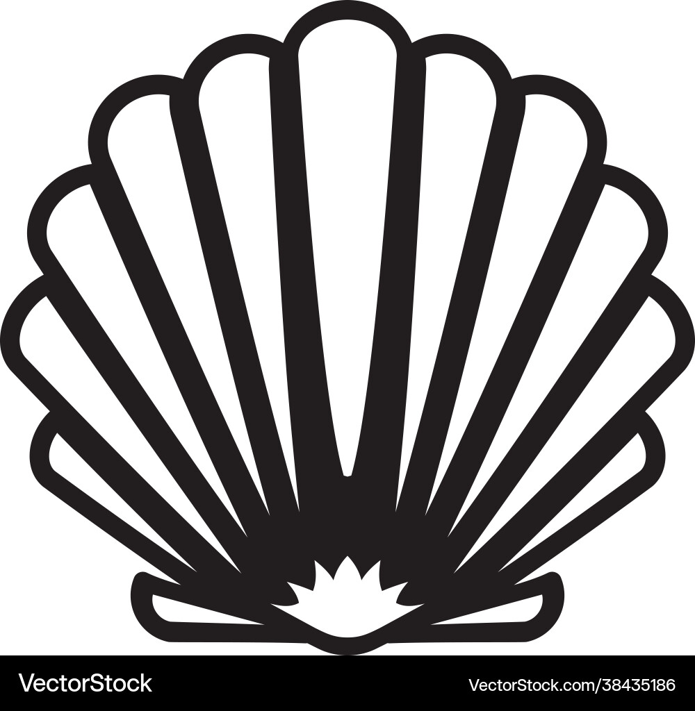 Seashell Royalty Free Vector Image - VectorStock