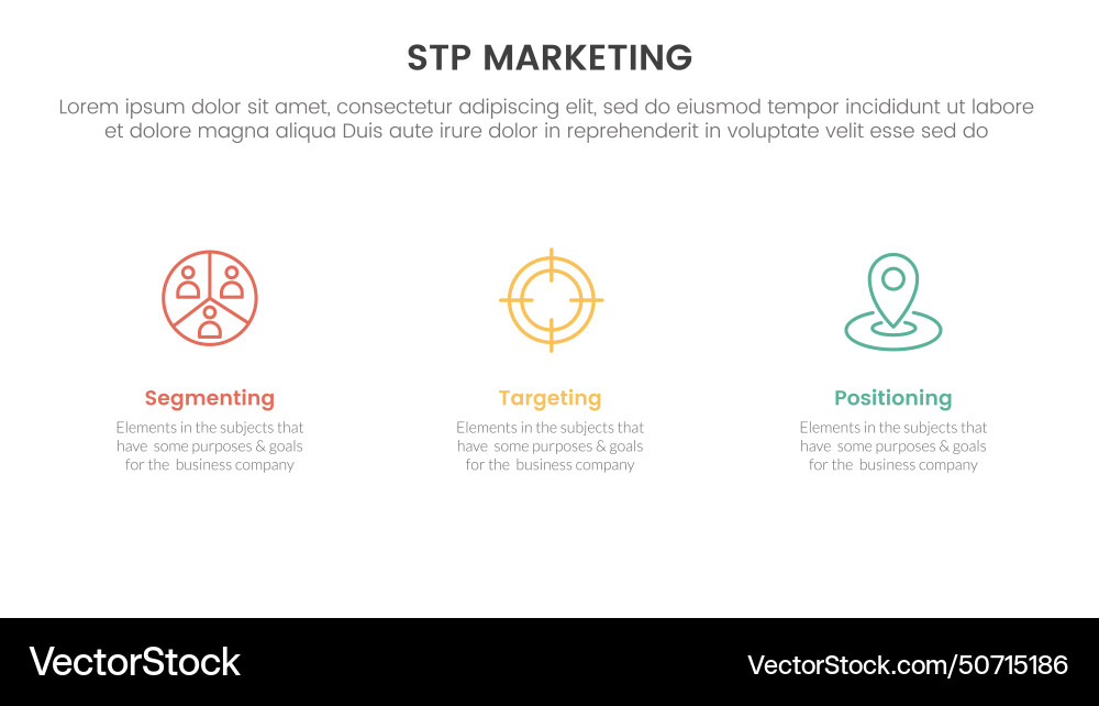 Stp marketing strategy model for segmentation Vector Image