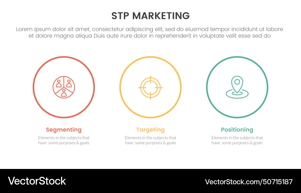 Stp marketing strategy model for segmentation Vector Image