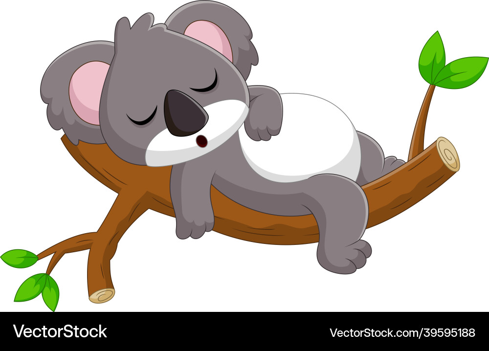 Cartoon cute koala is sleep on a tree Royalty Free Vector