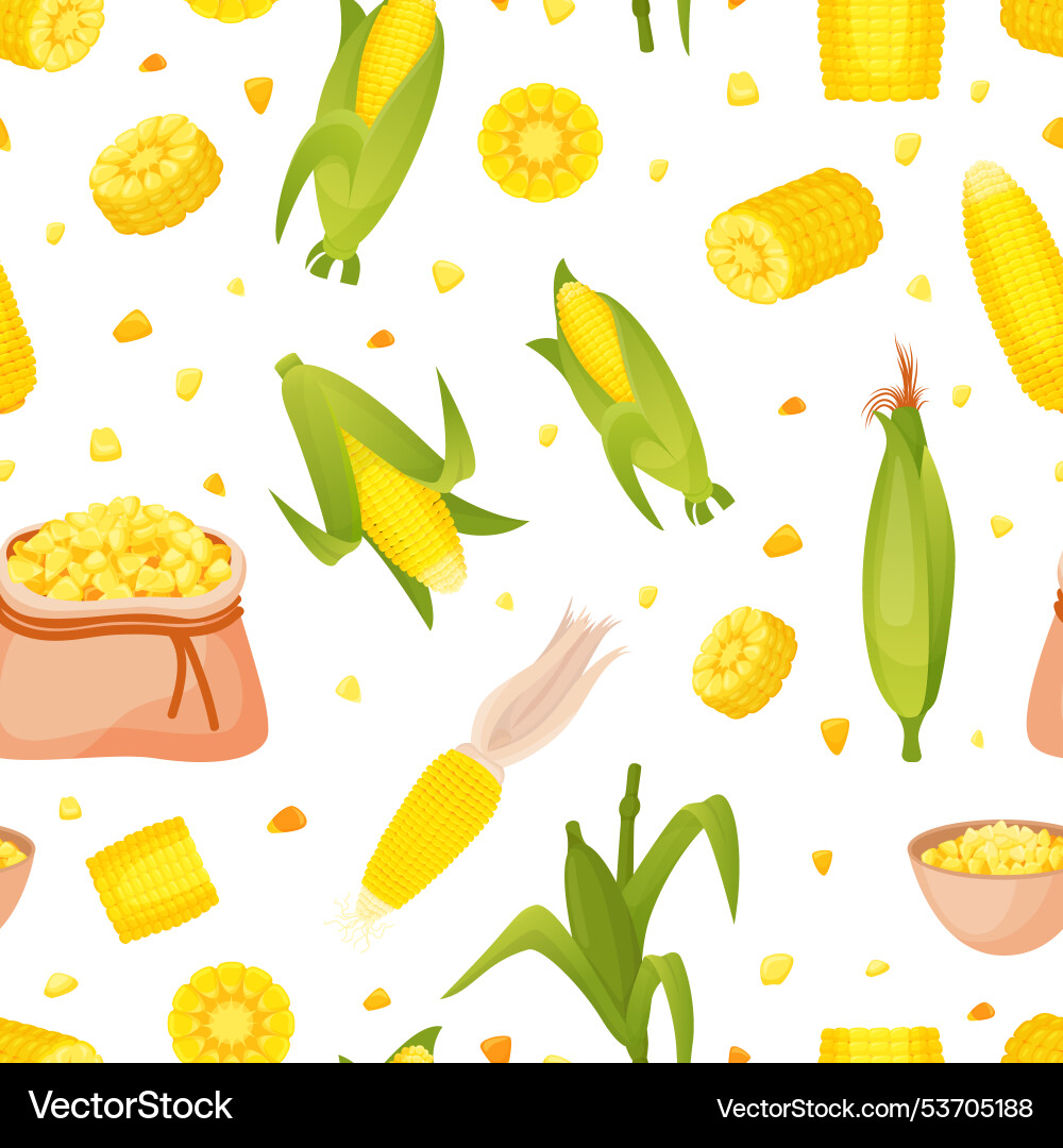 Corn cobs seamless pattern corns spikelets Vector Image