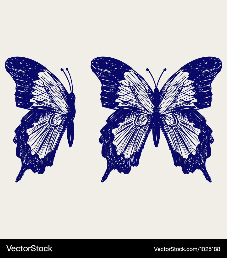 Cute Doodle Butterfly Royalty Free Vector Image