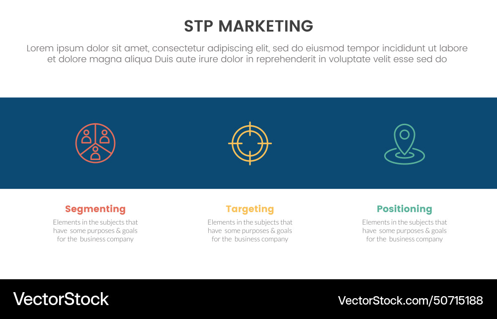 Stp marketing strategy model for segmentation Vector Image