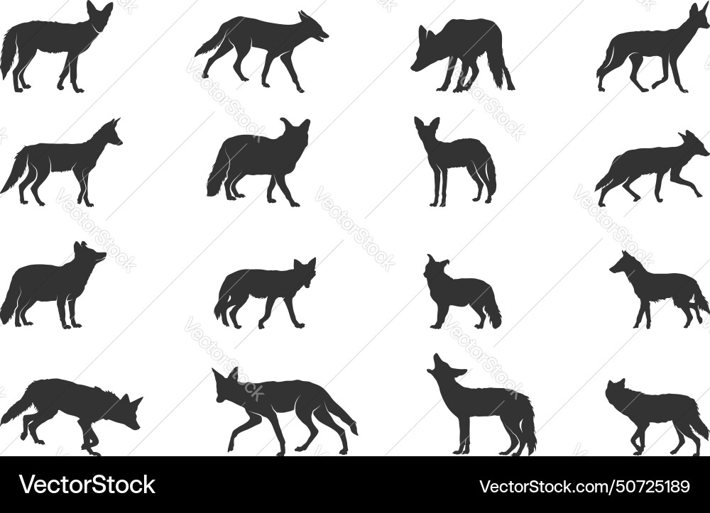 Jackal silhouette wild Royalty Free Vector Image