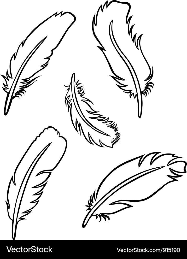 Elegant Feather Set (915190) – Royalty-Free Vector | VectorStock