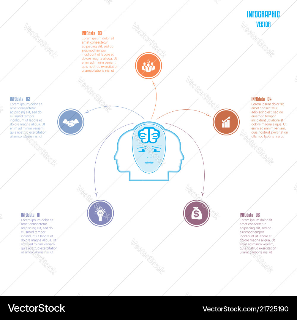 Elements for template brain storm infographics Vector Image