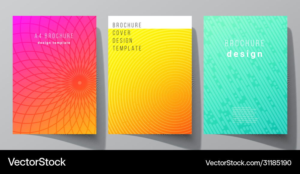 Layout a4 format modern cover Royalty Free Vector Image