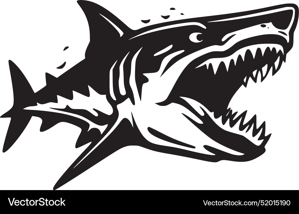 Shark - minimalist and simple silhouette Vector Image