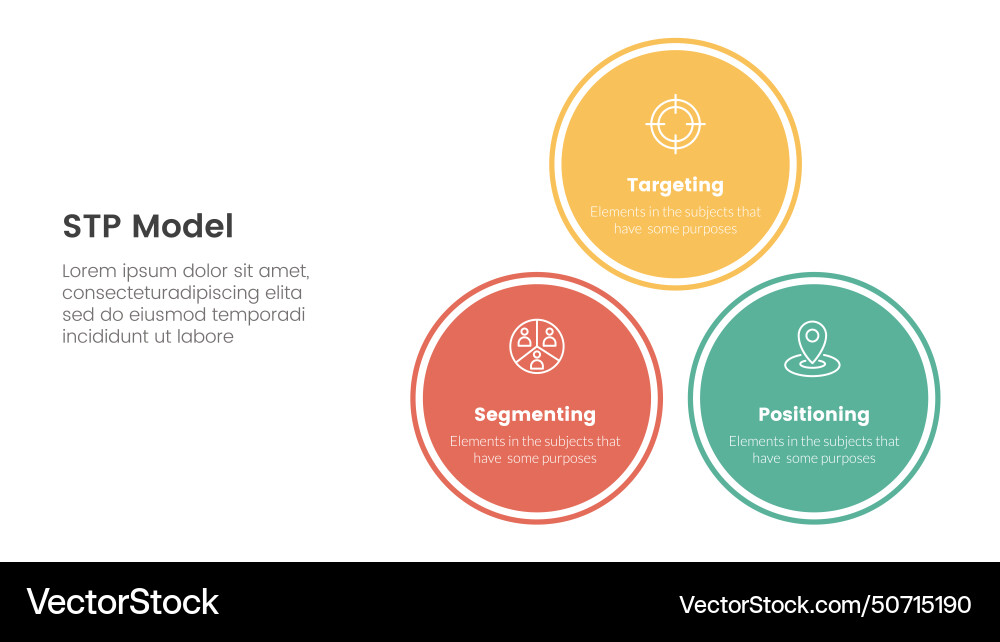 Stp marketing strategy model for segmentation Vector Image