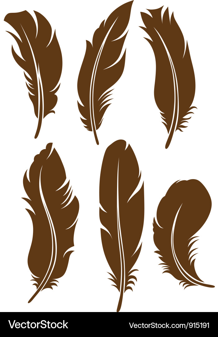 Feather set Royalty Free Vector Image - VectorStock