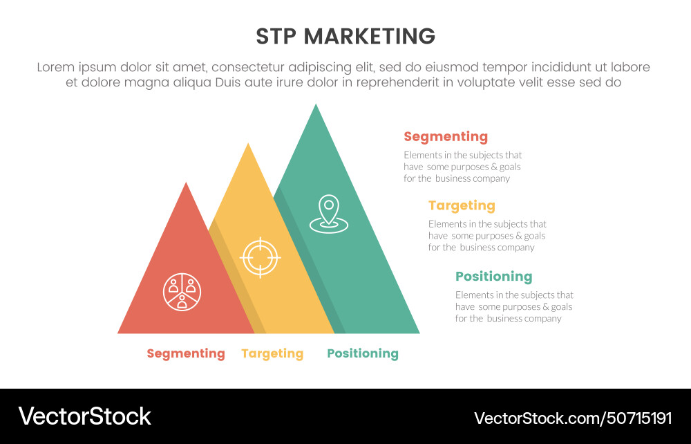 Stp marketing strategy model for segmentation Vector Image
