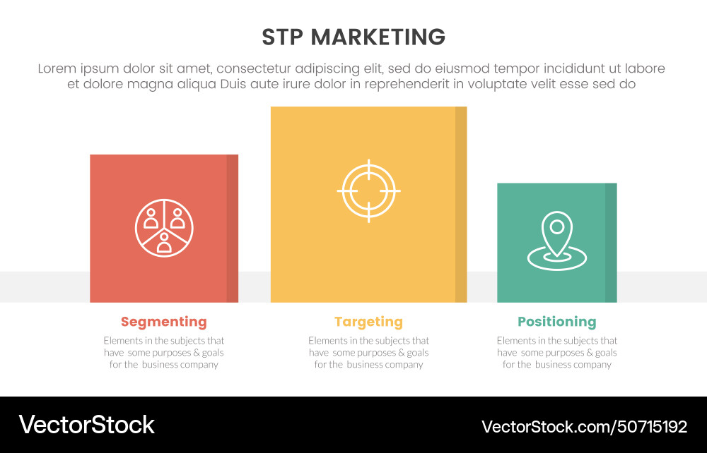 Stp marketing strategy model for segmentation Vector Image
