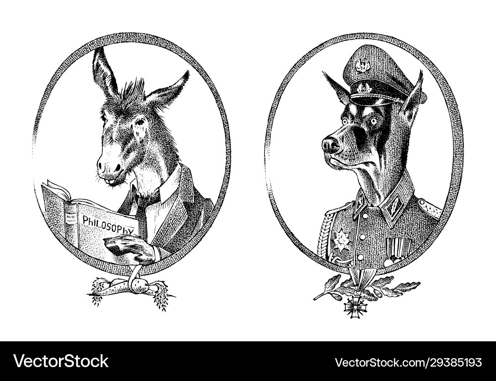 Philosophical Donkey Portrait Royalty Free Vector Image
