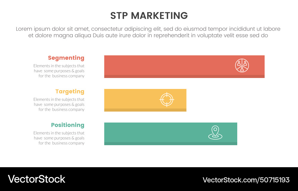 Stp marketing strategy model for segmentation Vector Image
