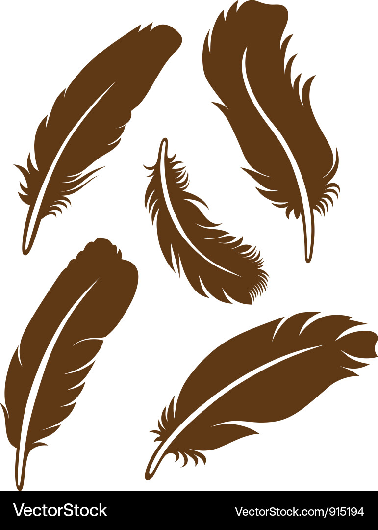 Feather set Royalty Free Vector Image - VectorStock