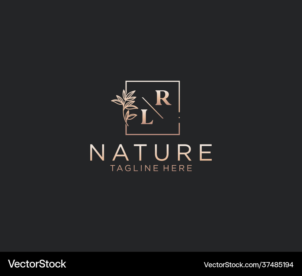 Initial rl letters beautiful floral feminine Vector Image