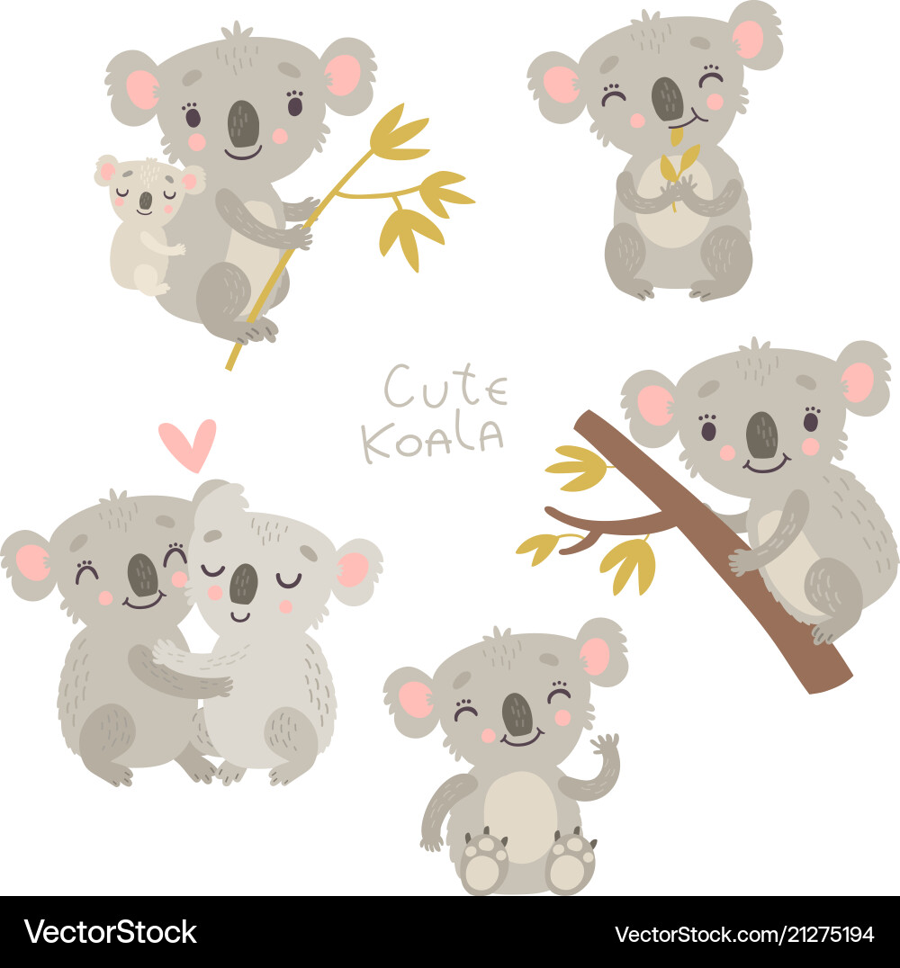 Koala set Royalty Free Vector Image - VectorStock