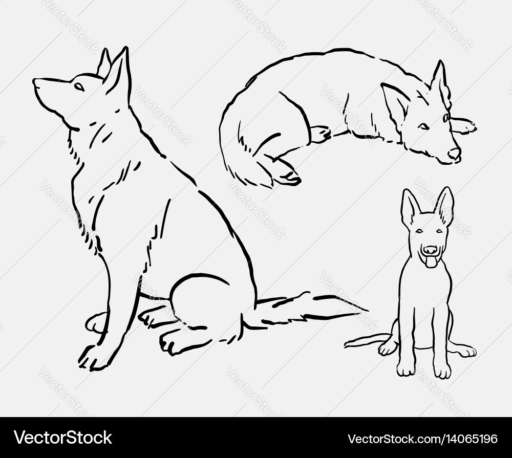 German shepherd pet dog animal hand drawing Vector Image