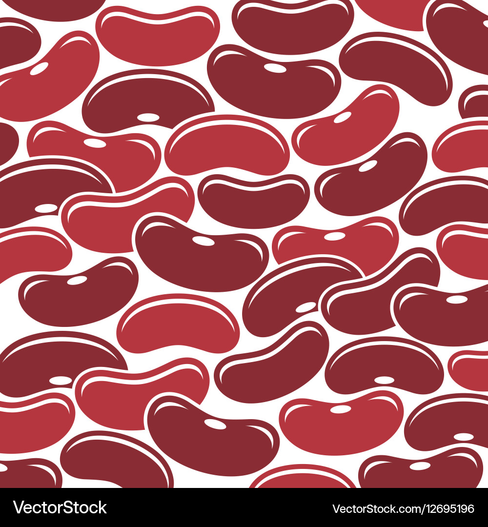 Red kidney bean Royalty Free Vector Image - VectorStock