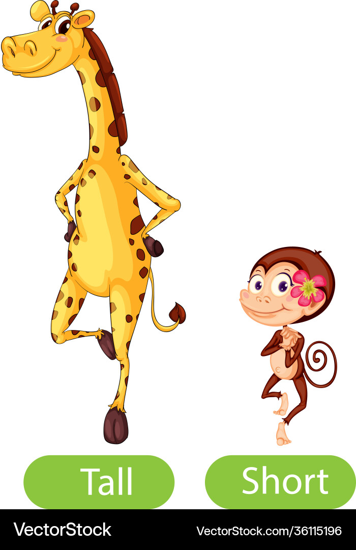 Tall vs. Short Animals Royalty Free Vector Image
