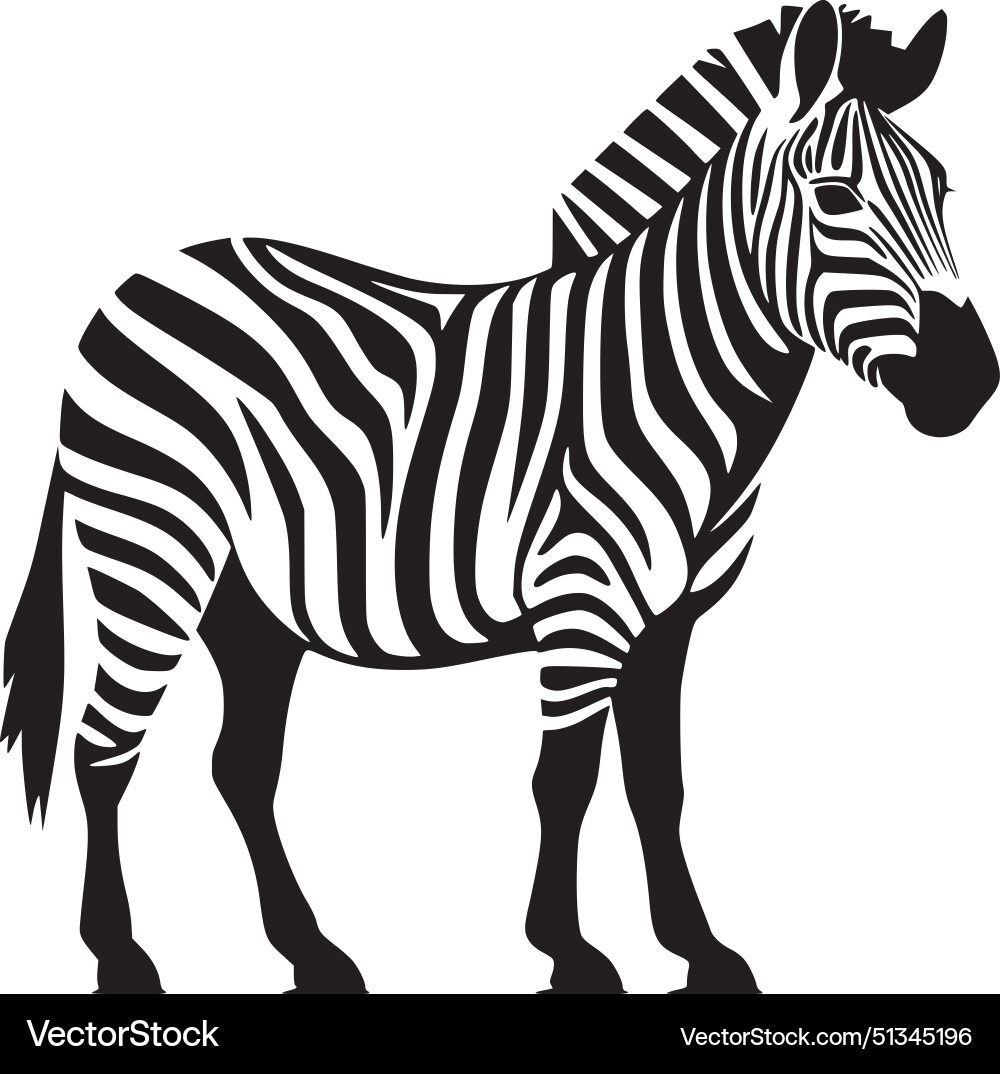 Zebra - high quality logo ideal for t-shirt Vector Image