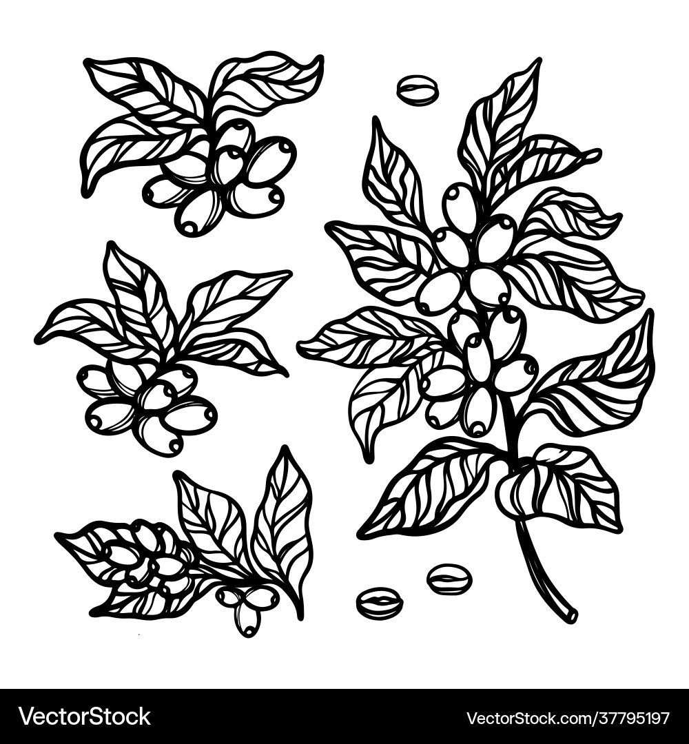 Coffee outline collection clip art Royalty Free Vector Image