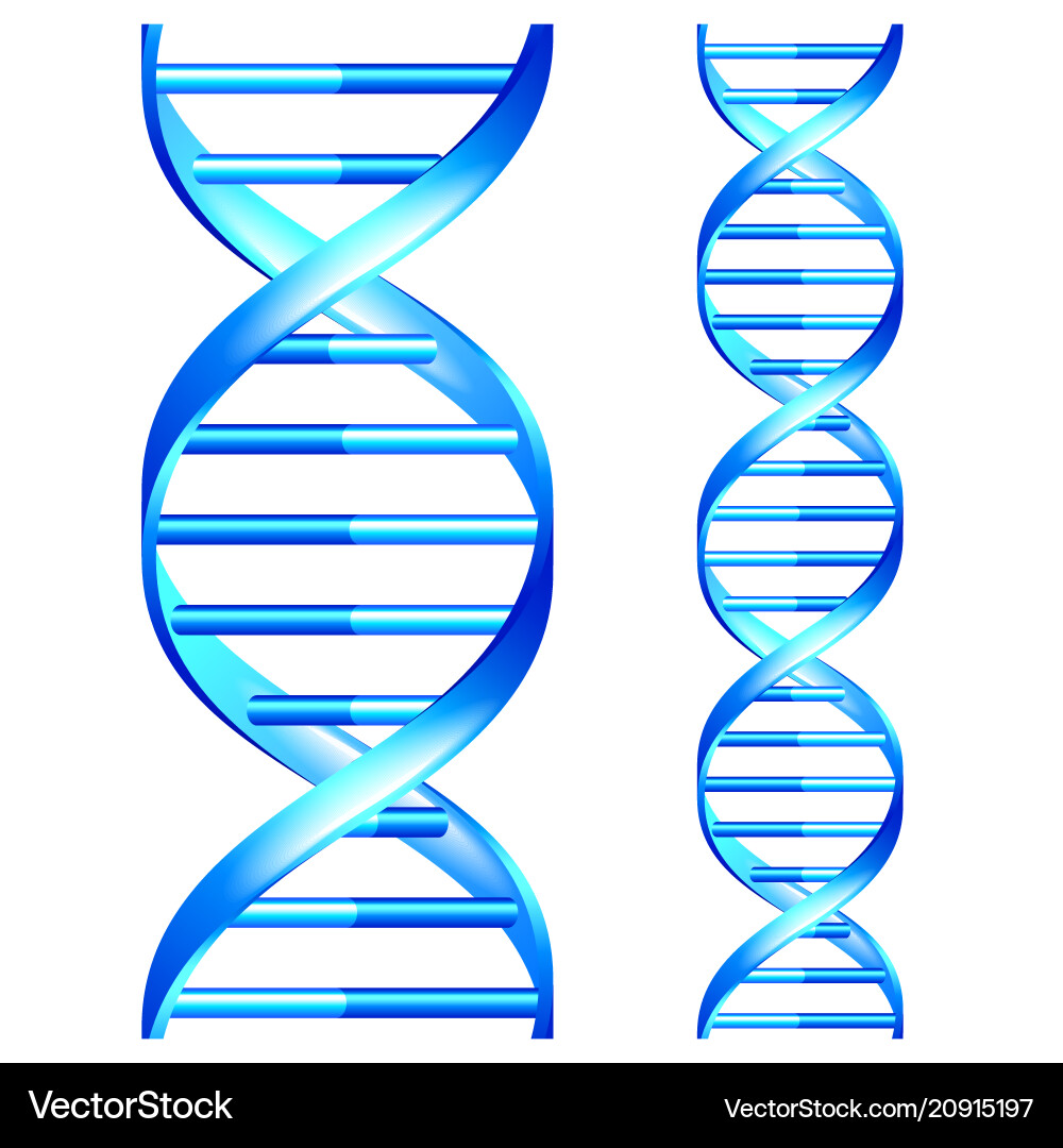 Dna isolated seamless object set Royalty Free Vector Image
