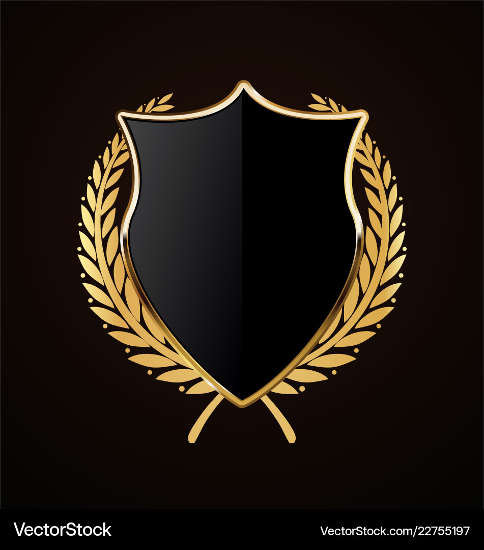Golden shield retro design Royalty Free Vector Image