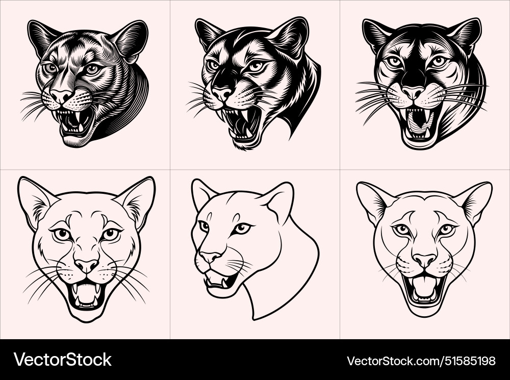 Print male puma head open mouth Royalty Free Vector Image