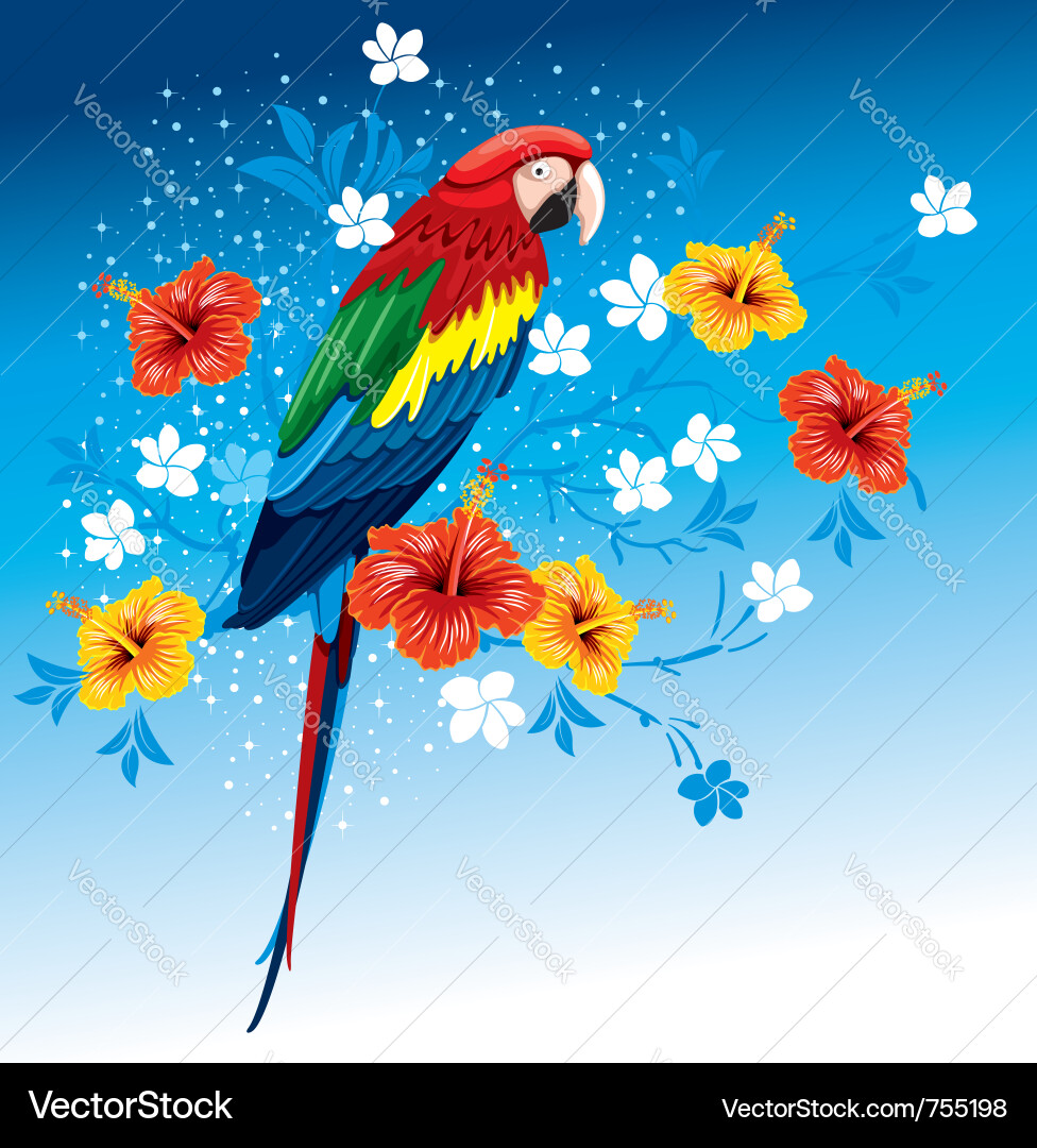 Tropical Parrots with Flowers Royalty Free Vector Image