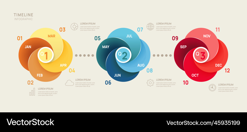 Infographic timeline rounded elements diagram Vector Image
