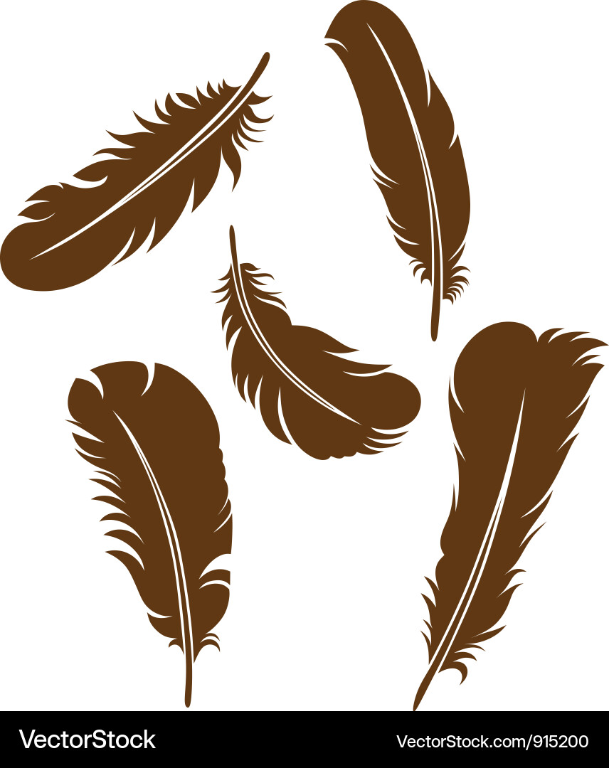 Feather set Royalty Free Vector Image - VectorStock