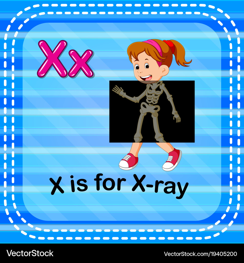 Flashcard letter x is for x-ray Royalty Free Vector Image