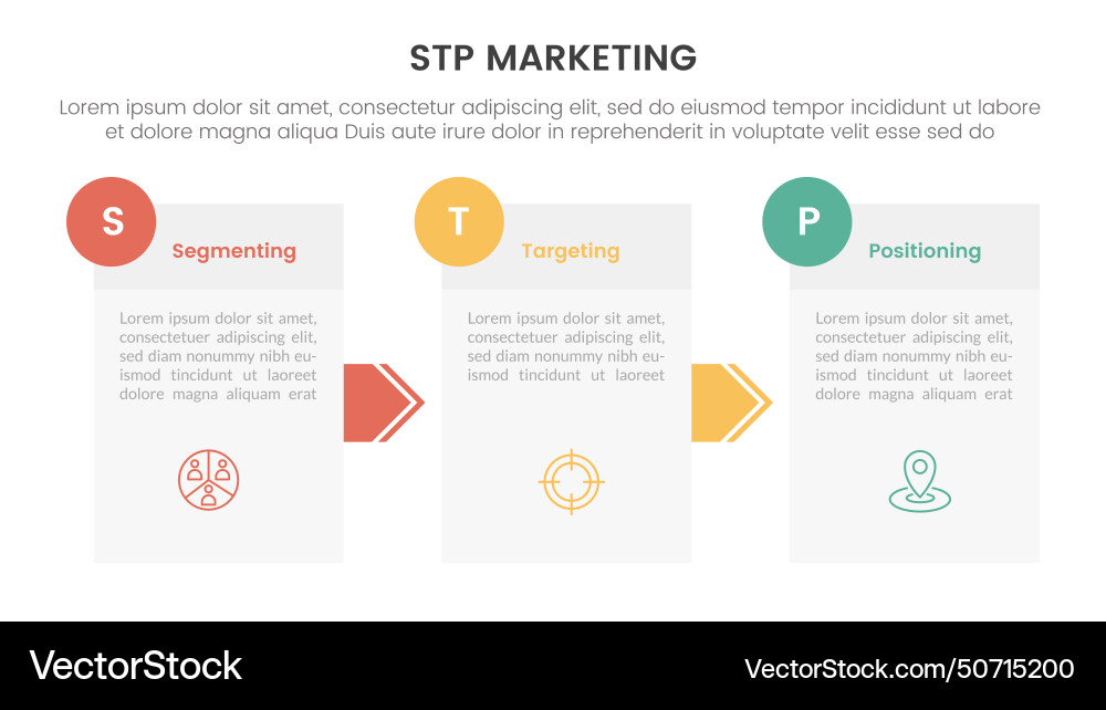 Stp marketing strategy model for segmentation Vector Image