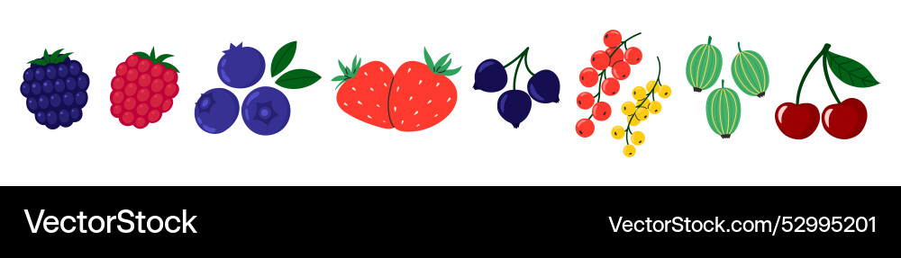 Berries set cherry black currant raspberry Vector Image