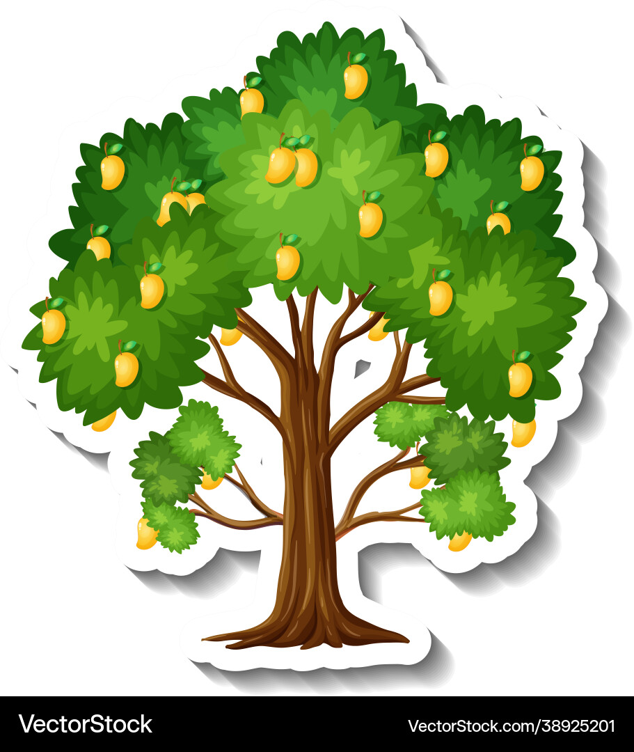 Mango tree sticker on white background Royalty Free Vector