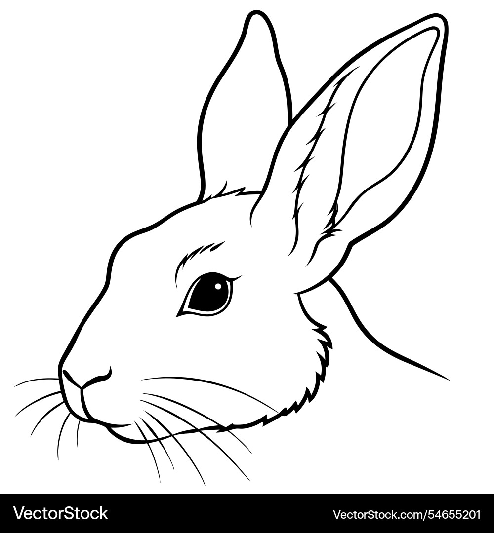 Rabbit side view line art sketch Royalty Free Vector Image