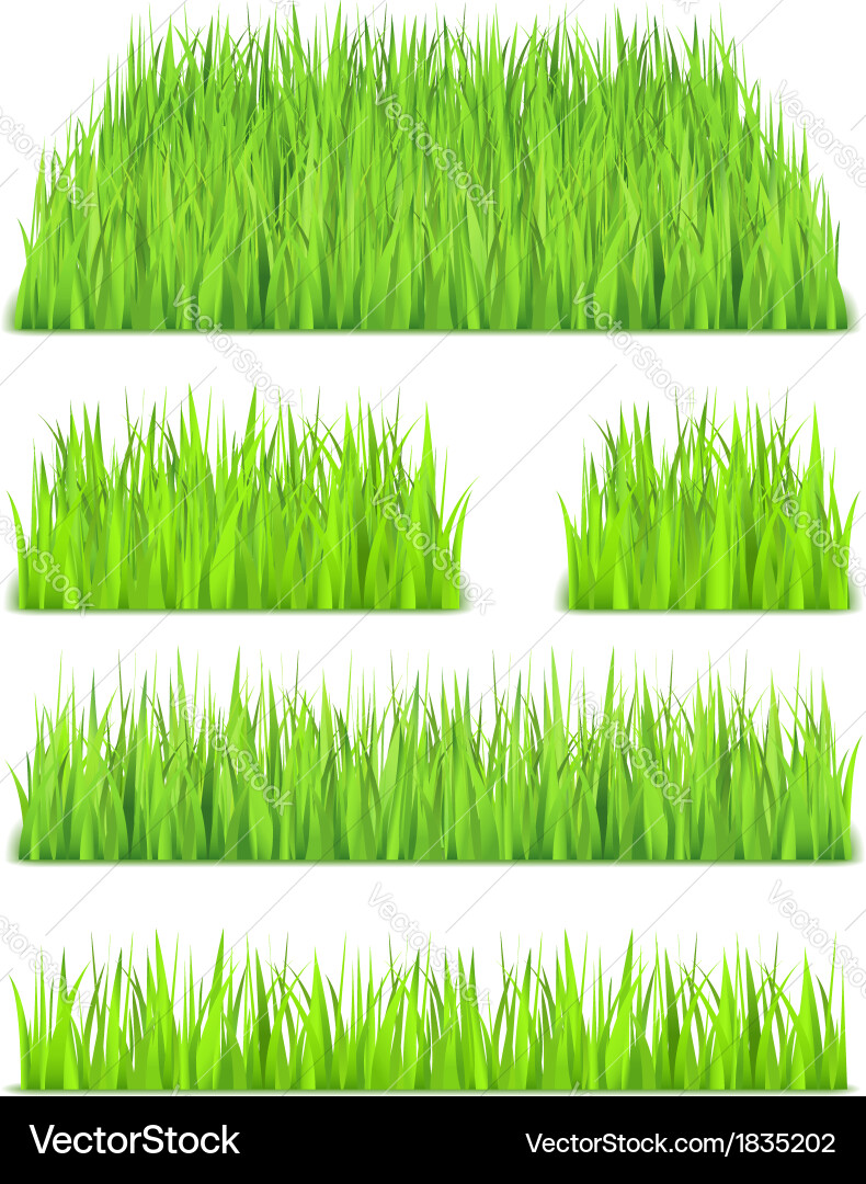 Grass Royalty Free Vector Image - VectorStock