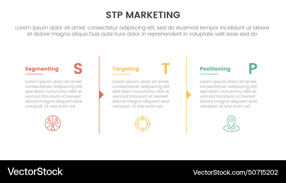 Stp marketing strategy model for segmentation Vector Image
